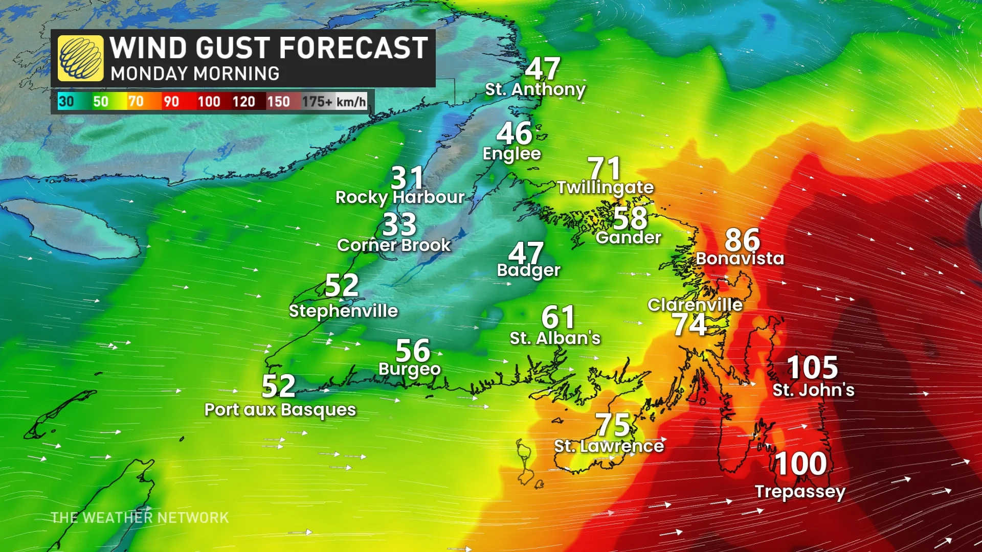 Blizzard warnings issued in Newfoundland ahead of impactful nor'easter ...