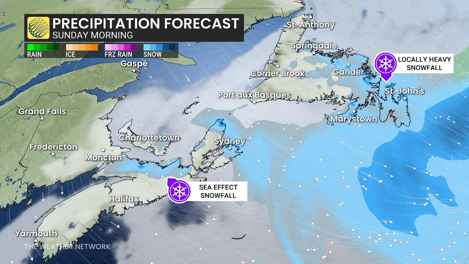 Weekend snow preludes strong nor'easter on East Coast - The Weather Network