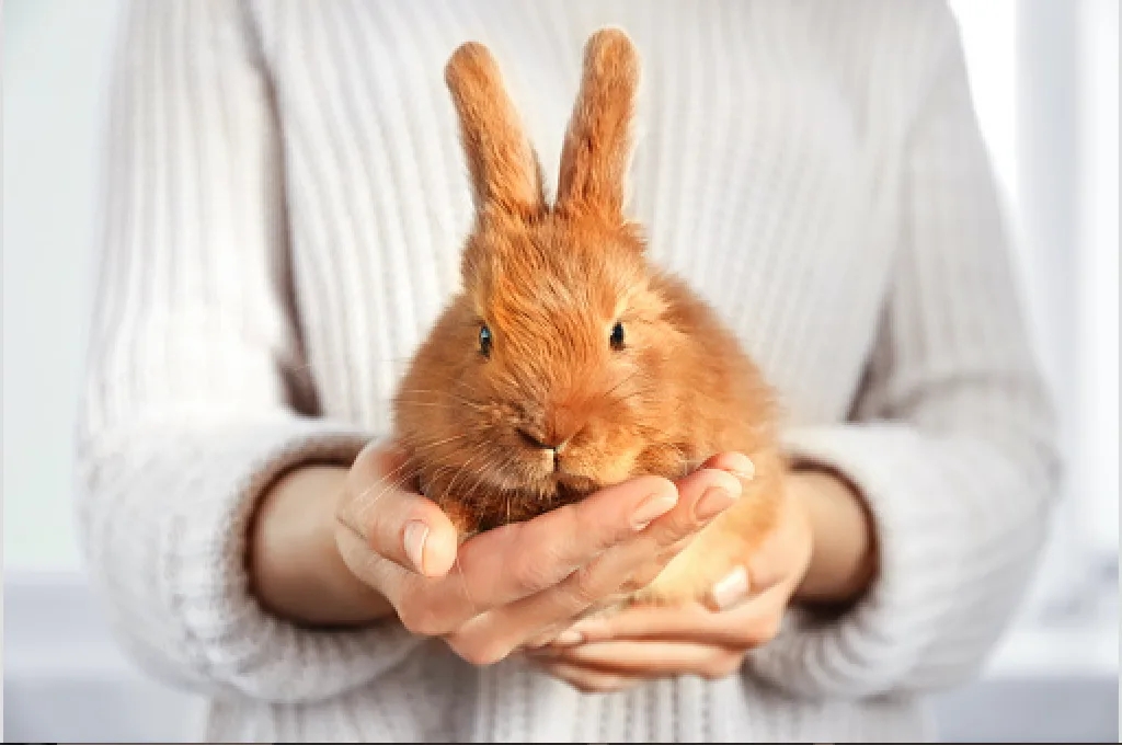 Is the Easter bunny real? How to answer, according to a psychologist ...