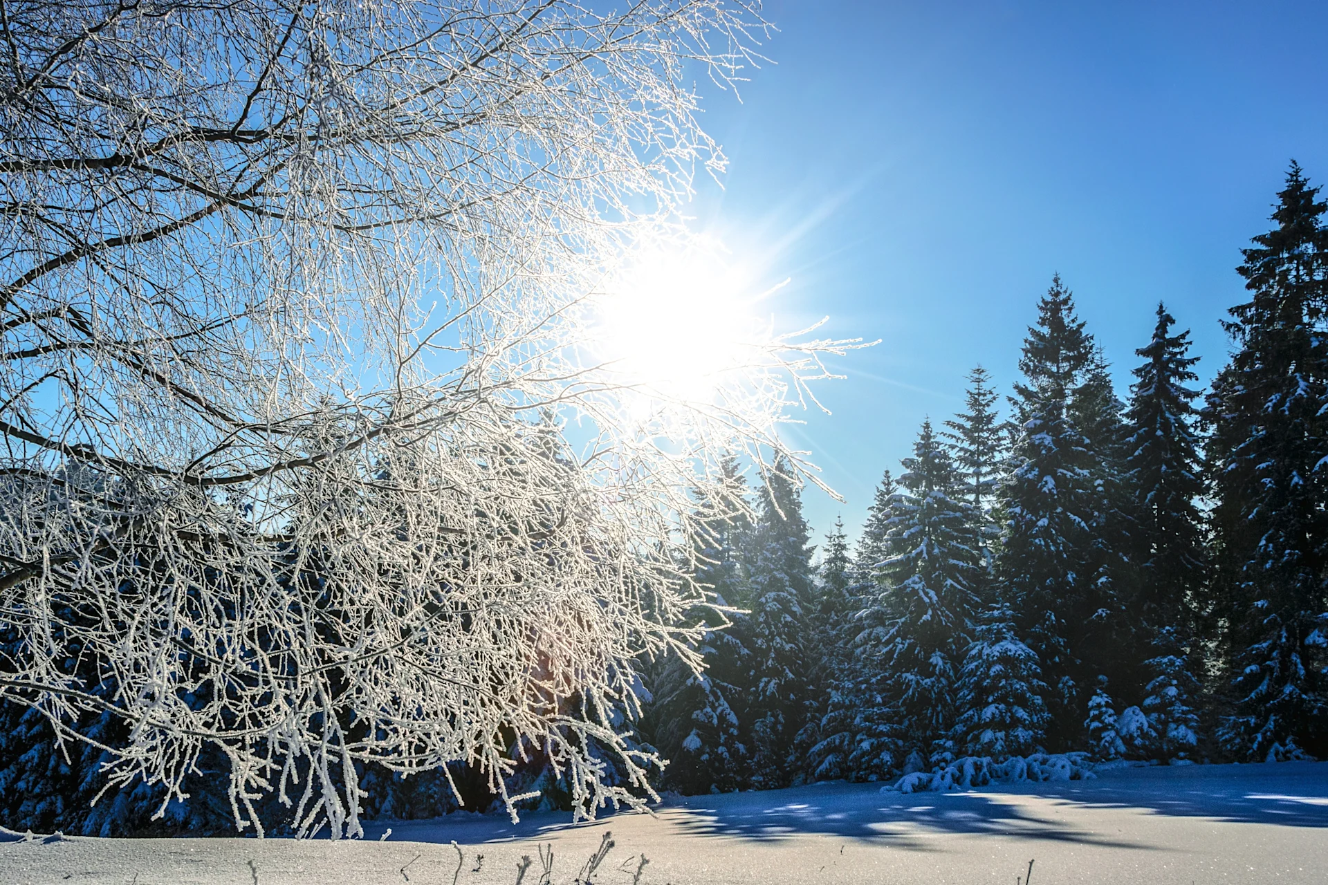 Brantford weather forecast for March 11: Sunny and windy - The Weather ...