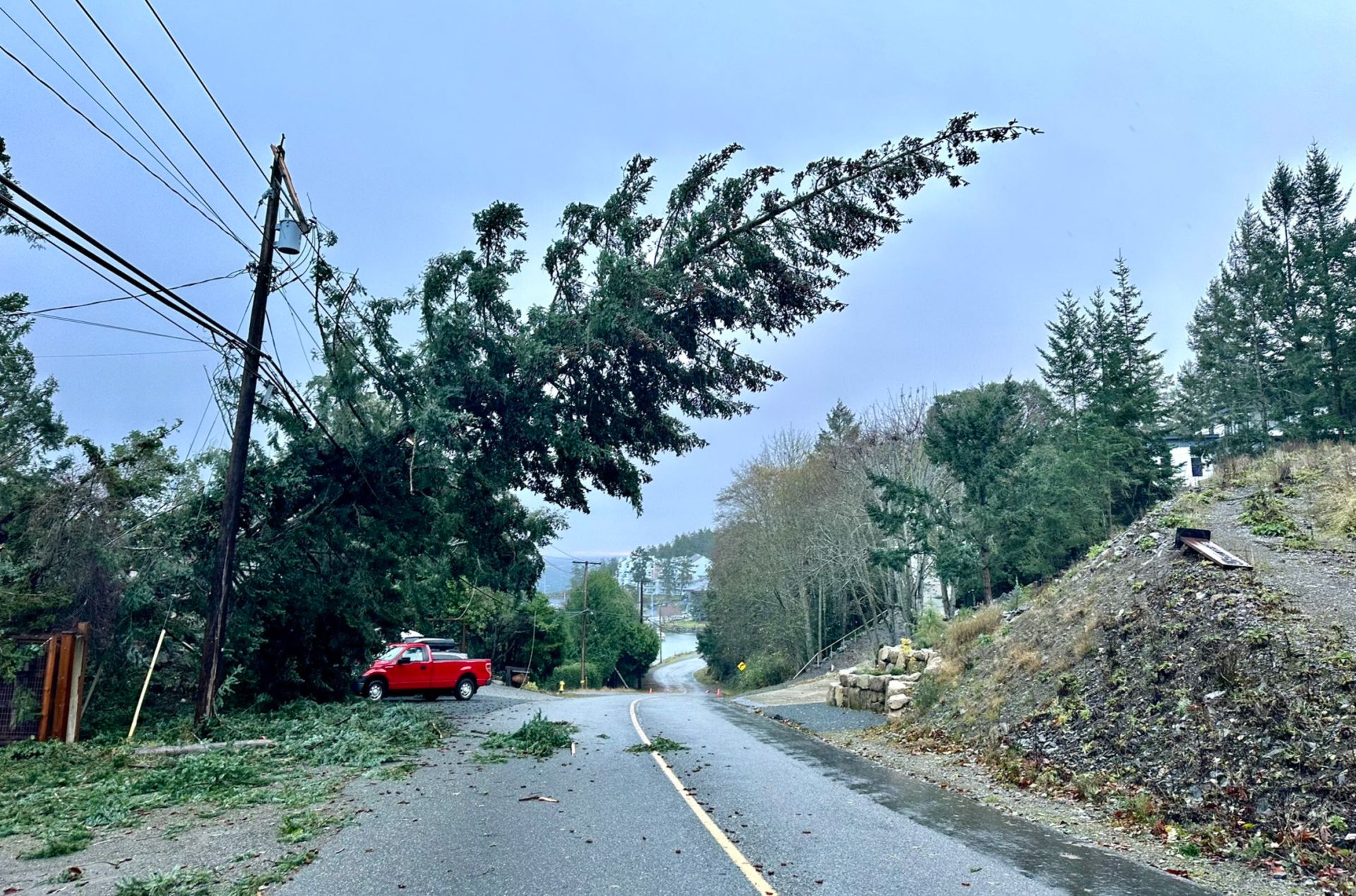 240K+ lose power and 1 highway closed in B.C. as storm winds rage - The Weather Network