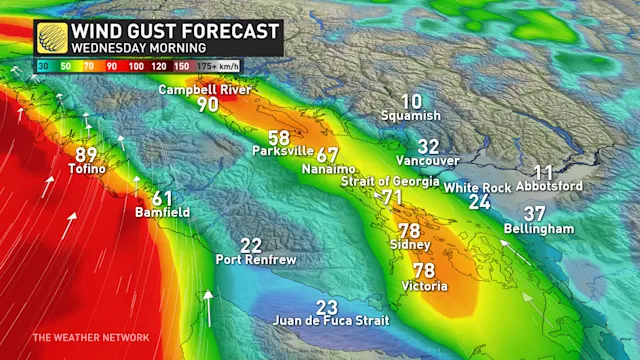 Bomb cyclone ramping up in strength as B.C. begins to feel its wrath ...