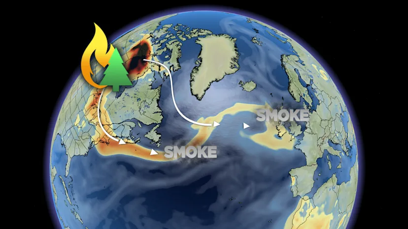 Wesley Ridge wildfire on Vancouver Island shows little growth, BCWS ...