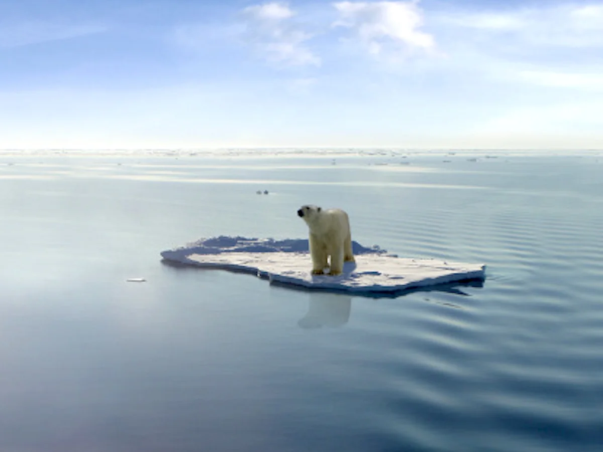 Why the Arctic's accelerated warming is an alarm bell for the planet ...