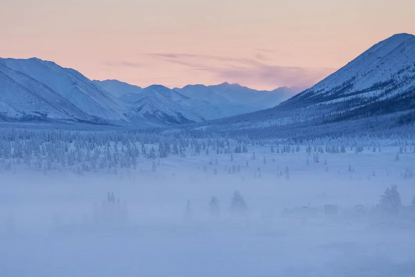 Extreme cold prompts 'exploding tree' warnings - The Weather Network