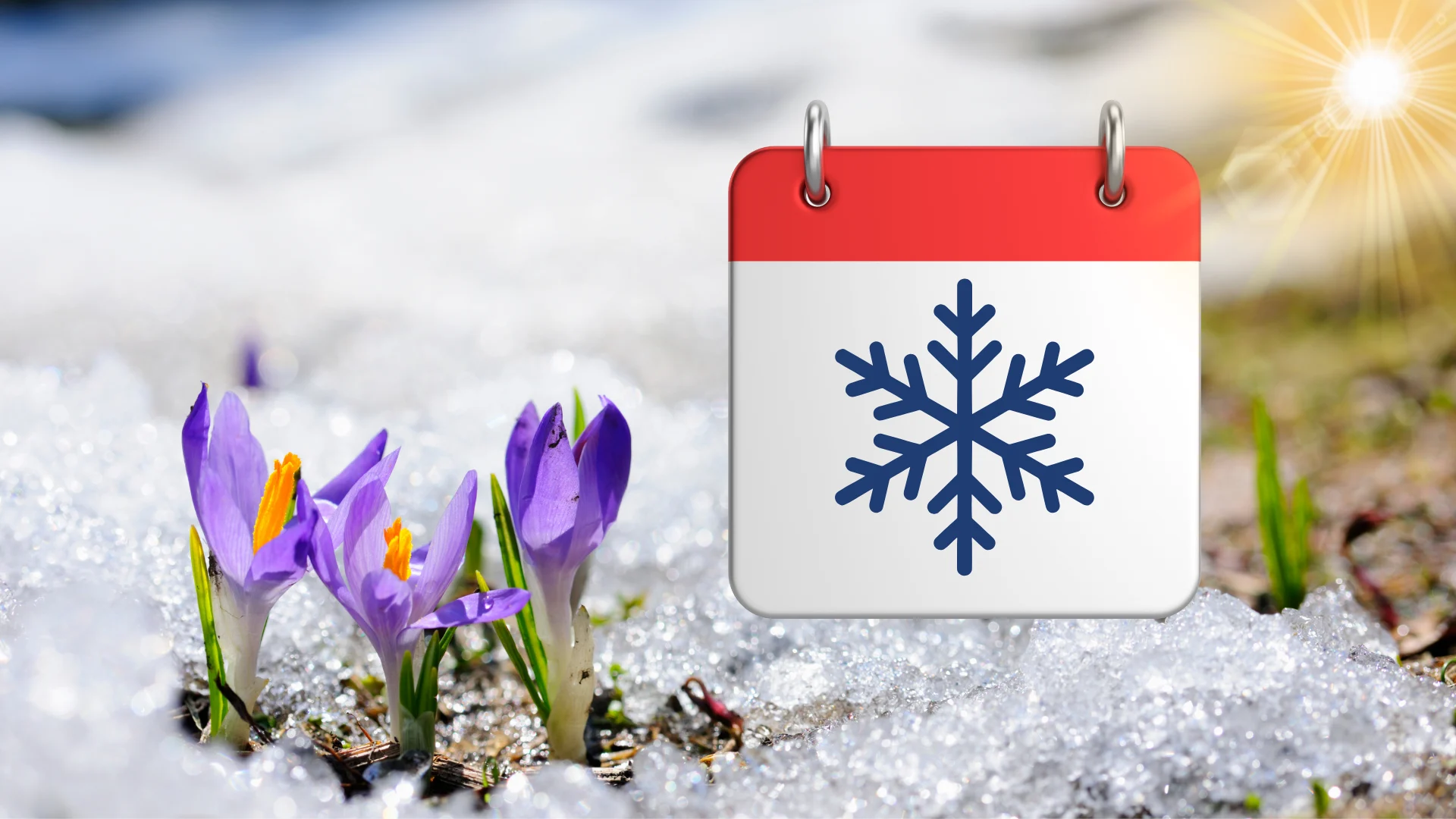 Spring fever hits Canada in March, but snowstorms still lurk - The ...
