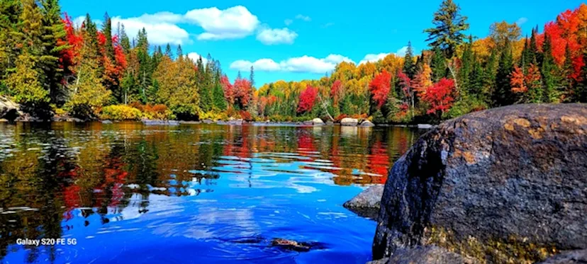 Fall colours showing in Ontario after warm September 'paused' foliage ...