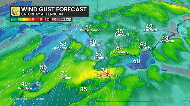 Severe storm and flood risks this weekend in Ontario - The Weather Network