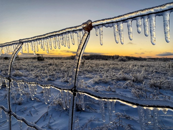 PHOTOS: Record rainfall floods streets, ice topples trees in southern ...