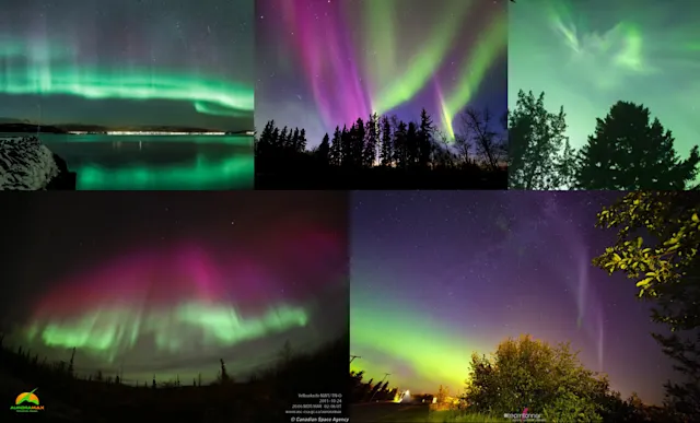 Aurora chasers find new type of Northern Lights, previously unknown to ...