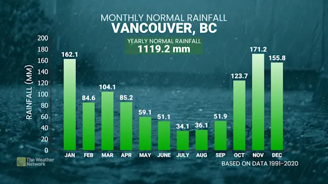 Rainy season kicks off with a sopping atmospheric river for B.C.'s ...