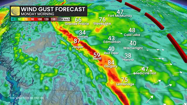 Powerful winds whip into Alberta, warnings widespread - The Weather Network