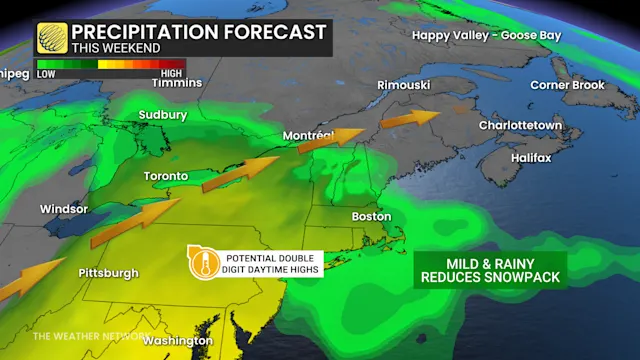 Why this year's January warm-up is more of an problem than relief - The ...
