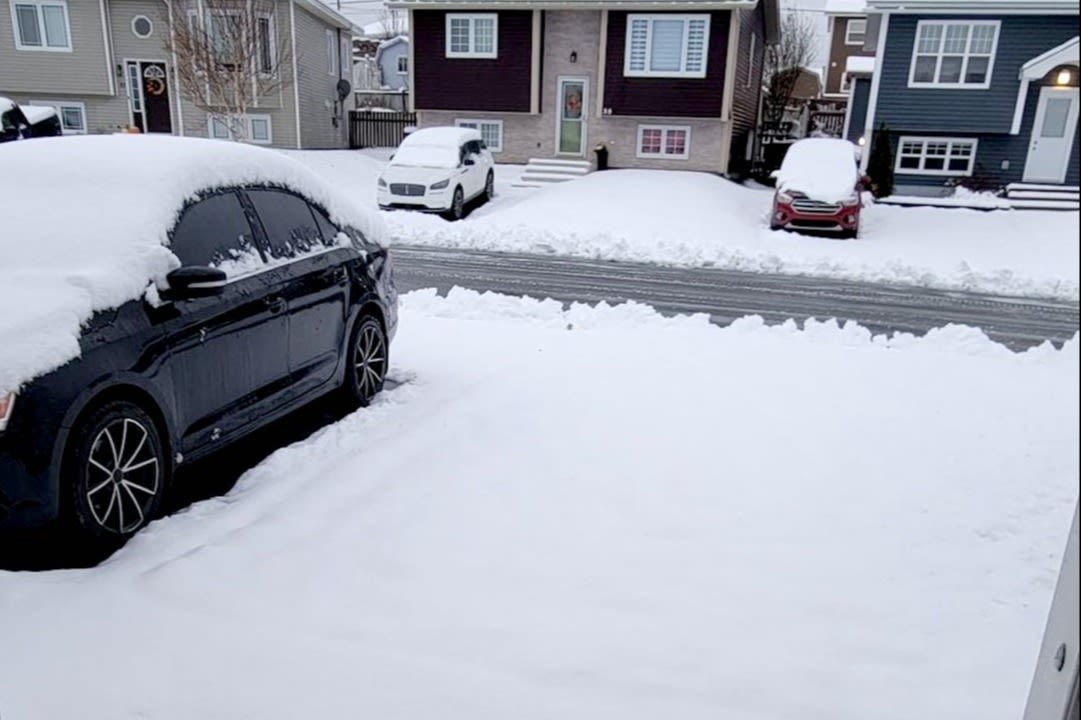 Snow winds down in Newfoundland after some see season's first dusting ...
