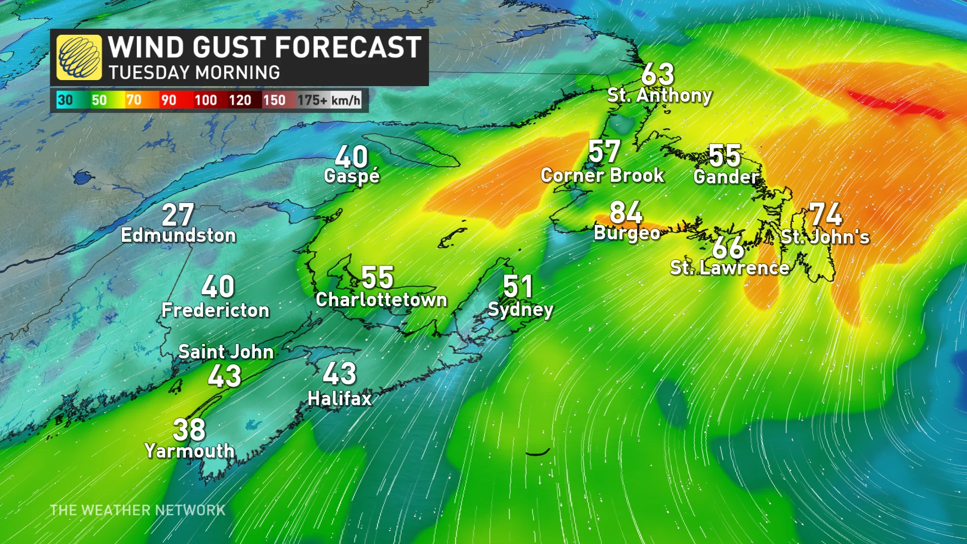 Nova Scotia digs out after epic snowfall as storm heads to Newfoundland ...