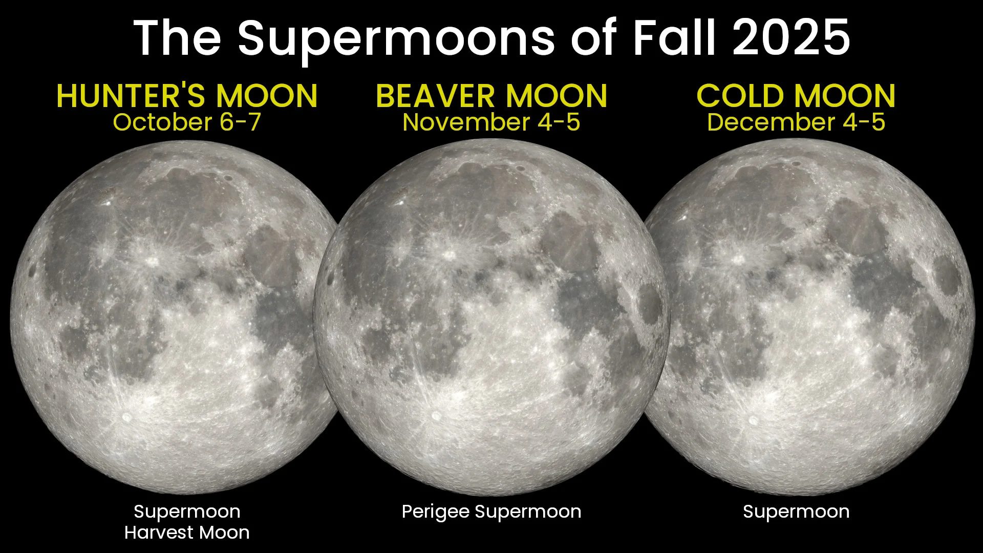 A Full Cold Supermoon shines high in the sky Thursday night - The ...