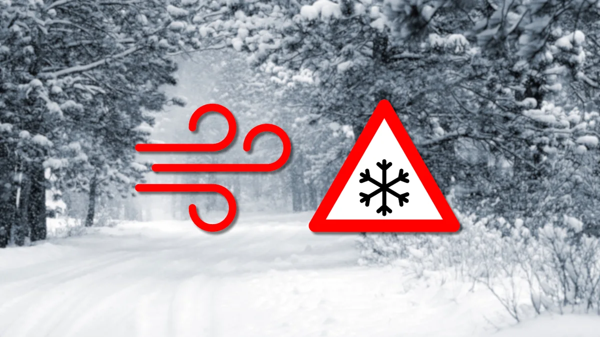 Blizzard warnings in Ontario ahead of powerful winds, snow squalls ...
