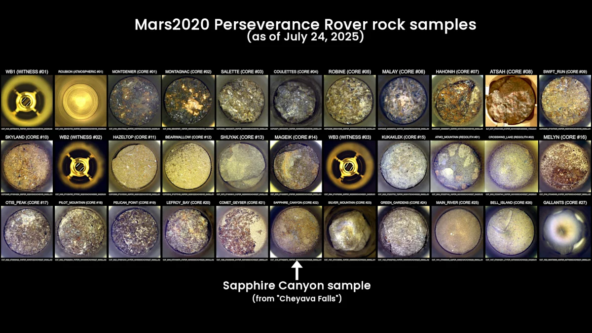 Potential signs of ancient life found in Mars rock sampled by ...