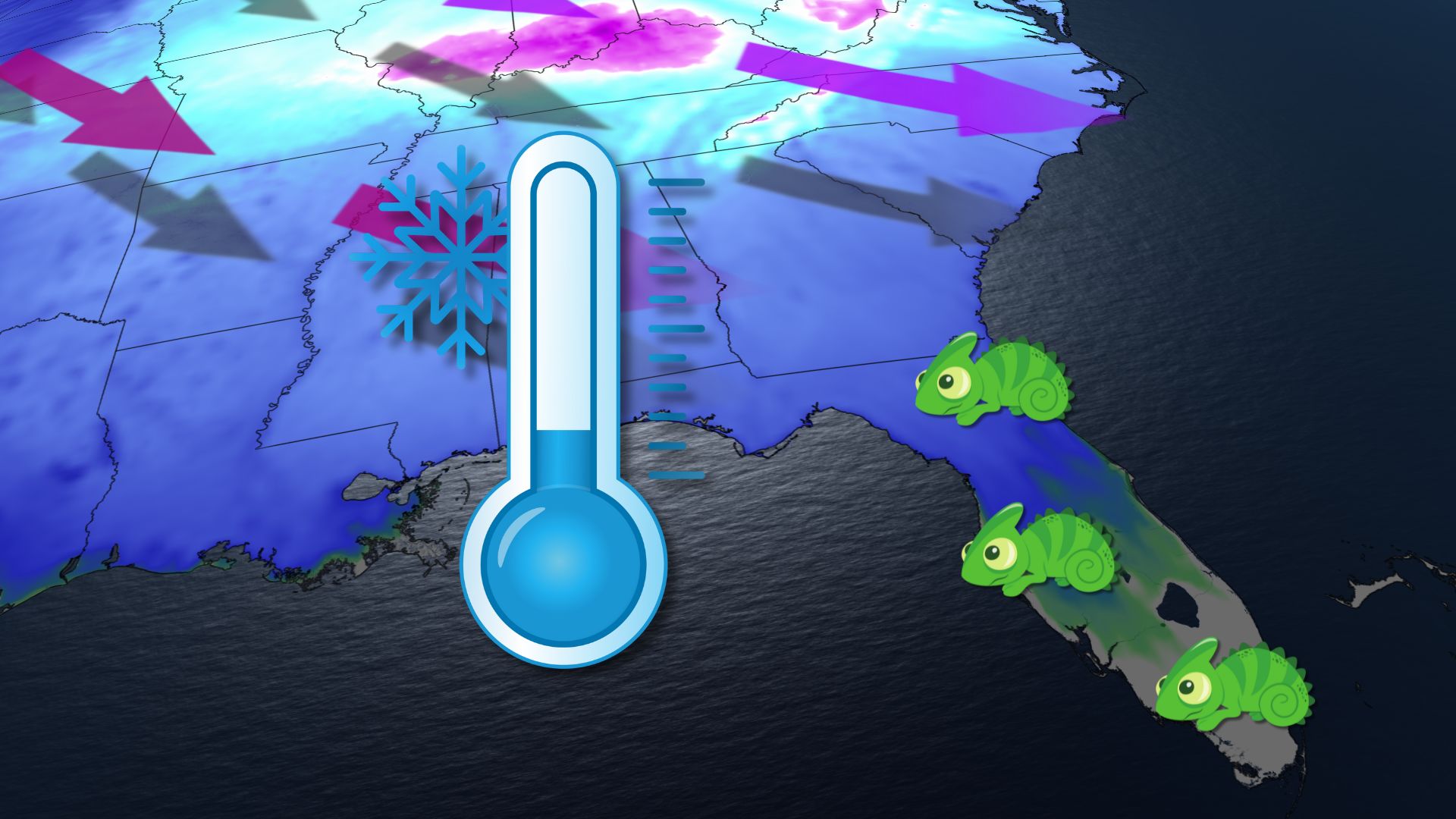 Beware falling iguanas as deep chill descends on U.S., Florida - The ...