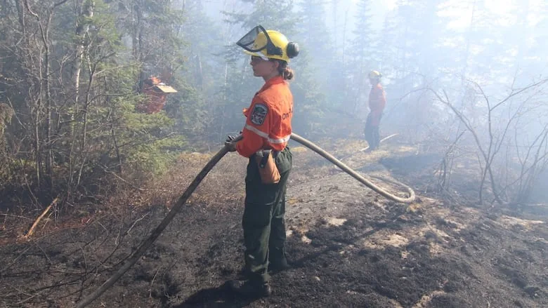 Wildfire response training should be available to more civilians ...