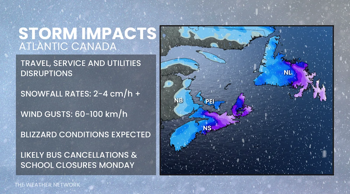 Blizzard conditions, up to 50 cm possible in nor'easter - The Weather ...