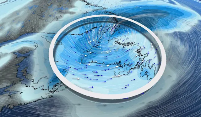 Powerful winds hit Newfoundland Monday - The Weather Network