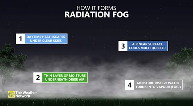 It’s not your imagination—here’s why fall is the foggiest season - The ...
