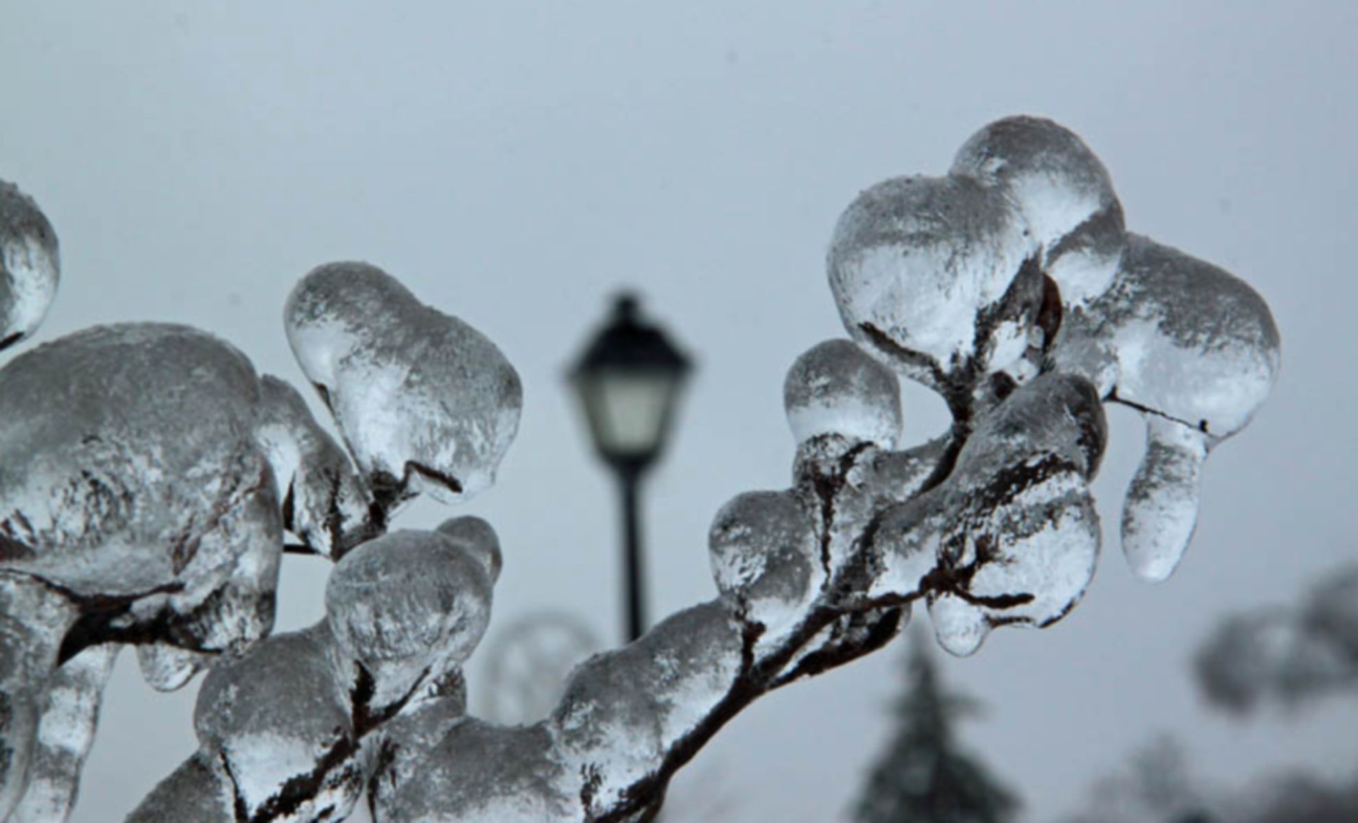 The ice storm of 2013 was a nightmare before, during & after Christmas ...