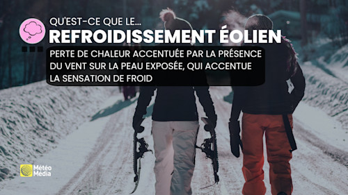 Froid extrême : un week-end qui pourrait être lourd de conséquences ...