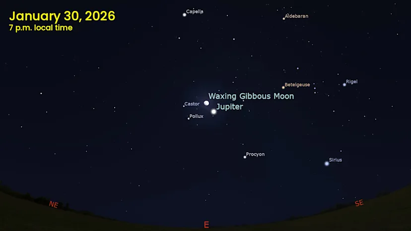 Jupiter shines at its brightest for the next 7 years - The Weather Network