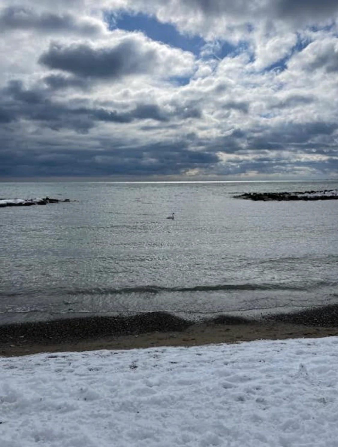 PHOTOS: GTA, Toronto hit by their biggest snowfall of the winter so far ...