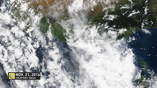 Unlocking the mysterious pollen-filled storm that sent thousands to the ...