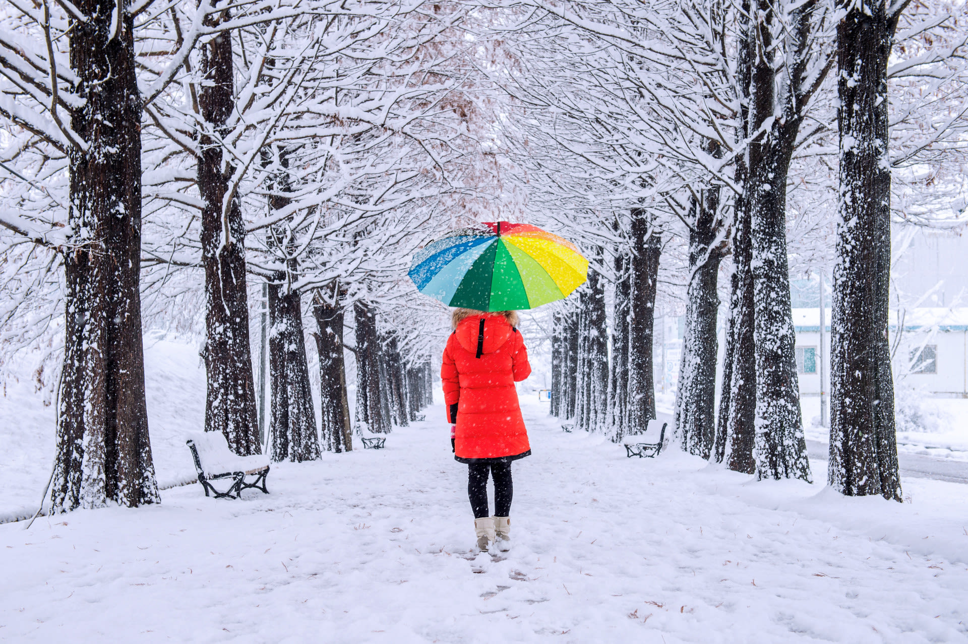 Tomorrow's Weather Edmonton (Dec 21): Frigid Cold, Evening Snow ...