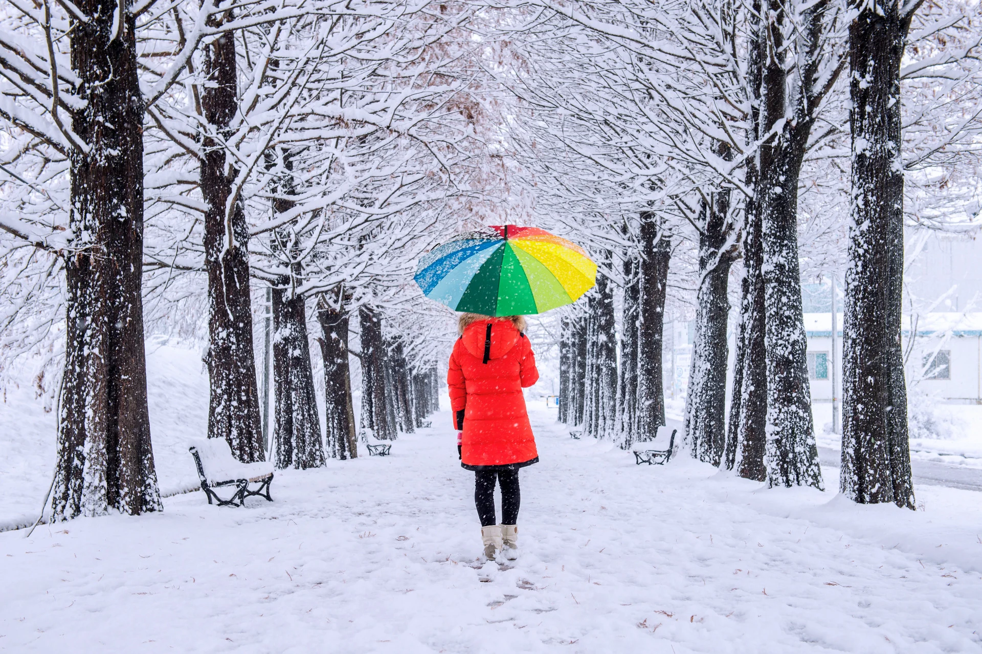 Labrador City's weekend weather forecast: Light snow and flurries ...