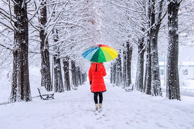 Tomorrow's Weather Toronto (Dec 21): Snow Showers & Windy Chill - The ...
