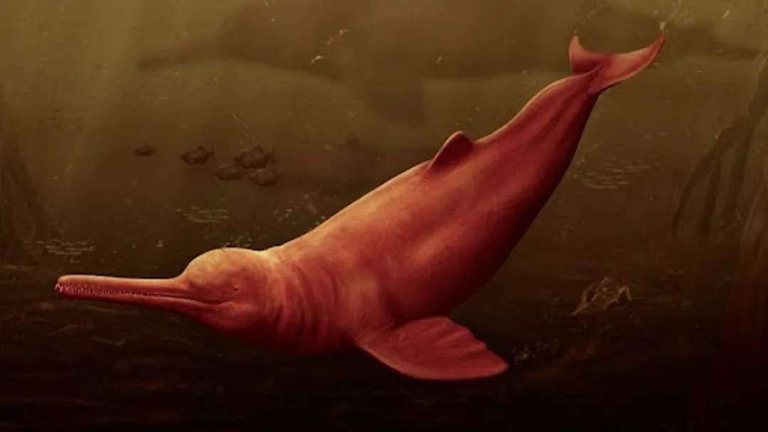 Ce mammifère géant révèle des secrets sur l'Amazonie préhistorique ...
