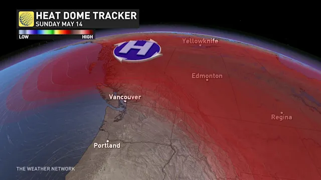 Evacuation alert area expands for Red Creek wildfire in Peace River ...