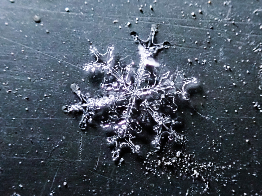 Macro photography reveals remarkable complexities of snowflake ...