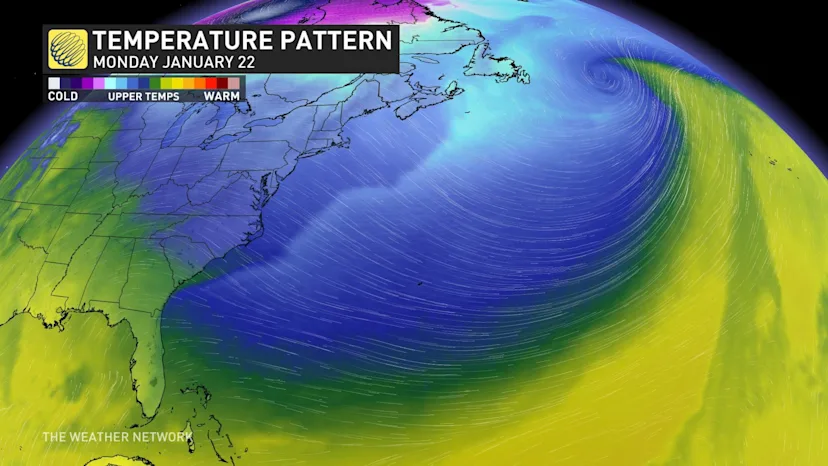 Watch as thousands of cloud streets billow over the Atlantic - The ...
