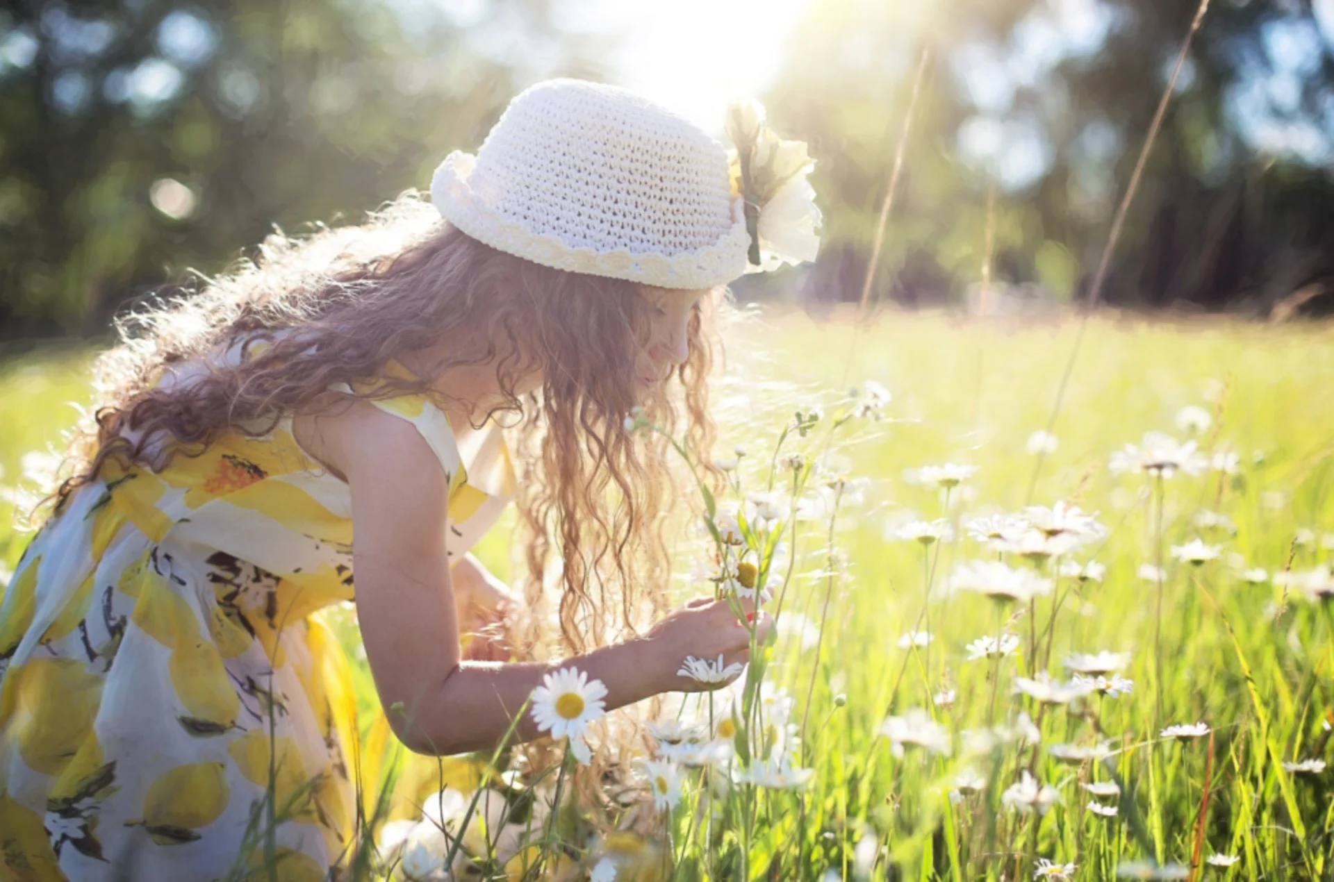 Welcome to solar summer, the most intense sunshine of the year! - The ...