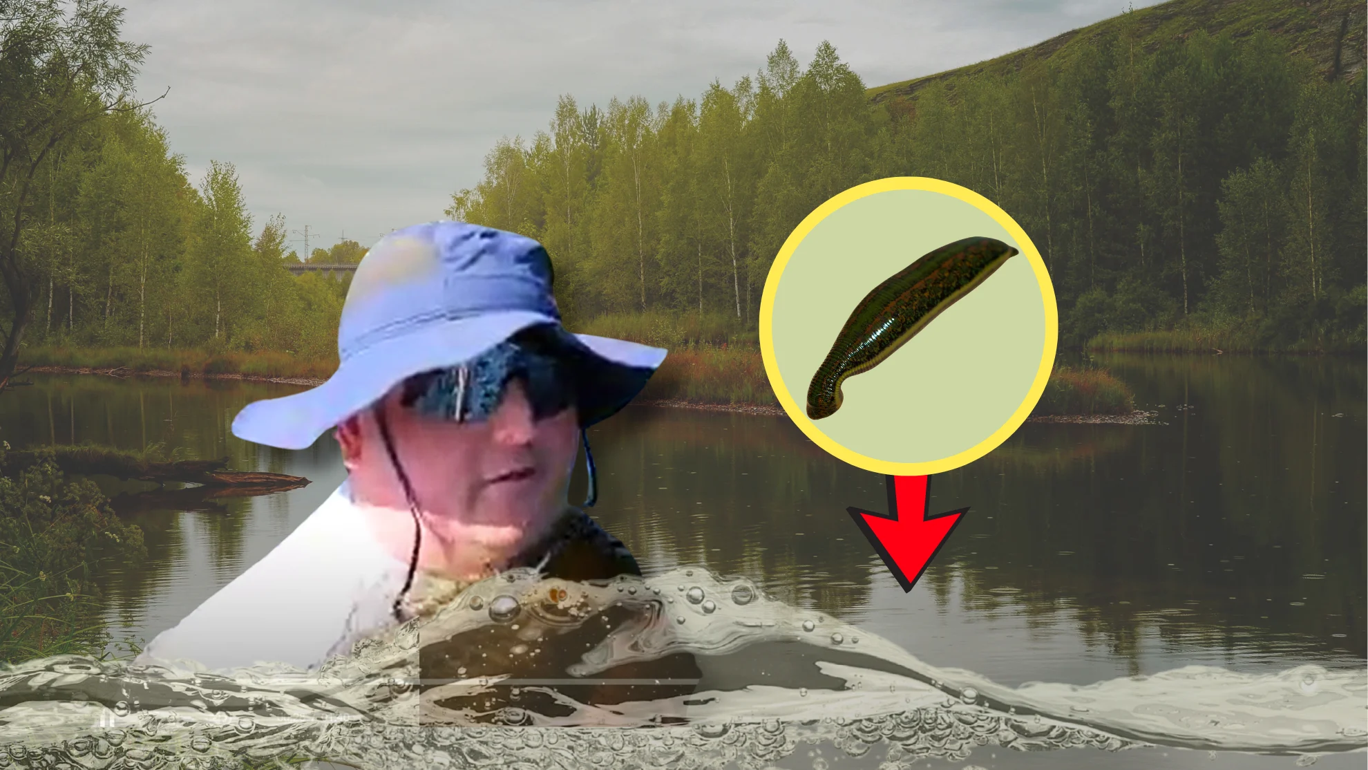 Cooling off in the lake? Here's how to handle leeches - The Weather Network