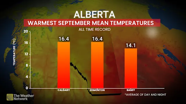 Calgary’s first frost looms! Follow these tips for more time in the ...