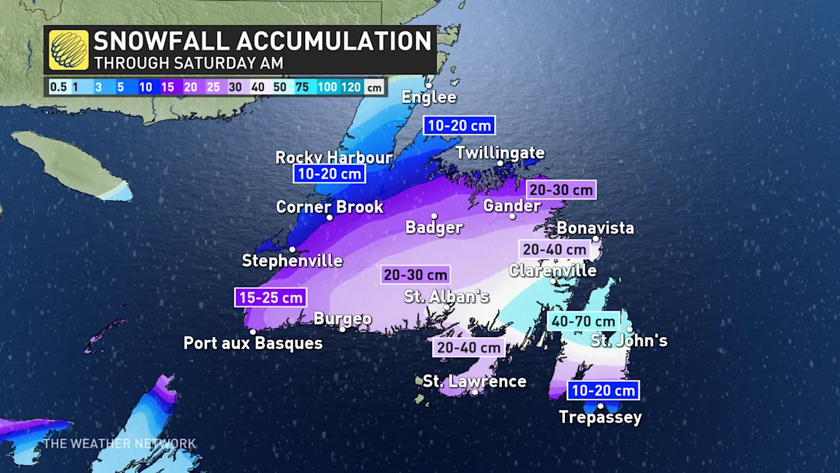 Avoid travel as major storm’s heavy snow, winds slam Newfoundland - The ...