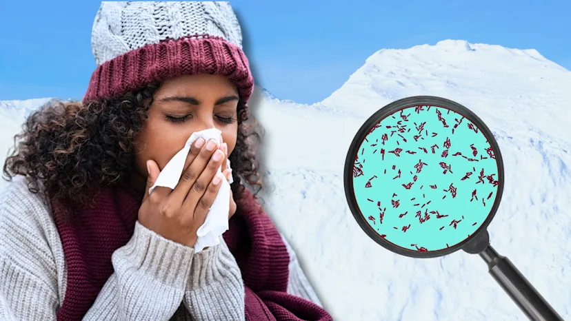 Can cold weather trigger an allergic reaction? Here's what experts say ...