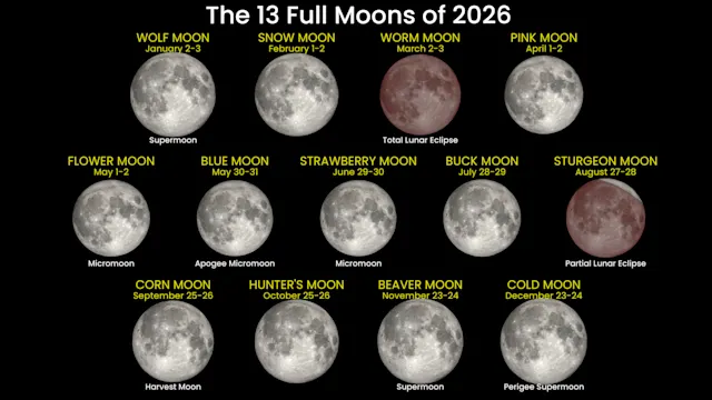 Look up tonight to see the Full Pink Moon rise! - The Weather Network