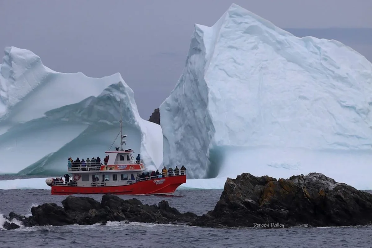 Keep a safe distance as iceberg season approaches - The Weather Network