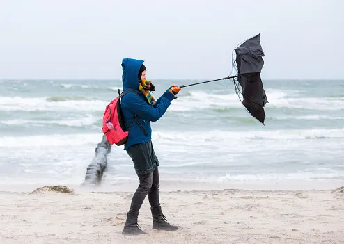Delicate or damaging? Gauge the wind using this cheat sheet - The ...