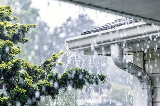 What does a ‘normal’ spring look like across Canada? - The Weather Network