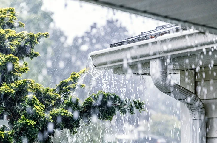 What does a ‘normal’ spring look like across Canada? - The Weather Network