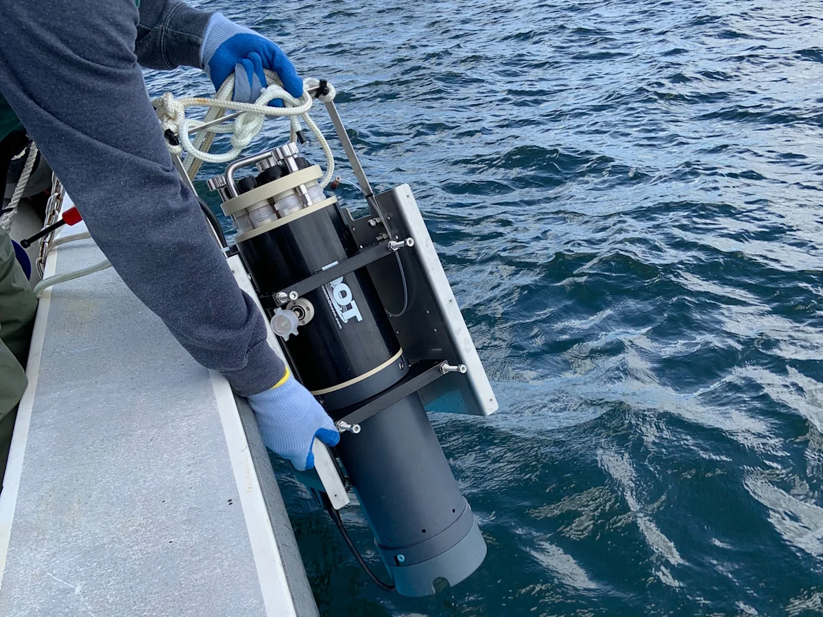 Monitoring human impacts on the ocean just got easier and cheaper - The ...